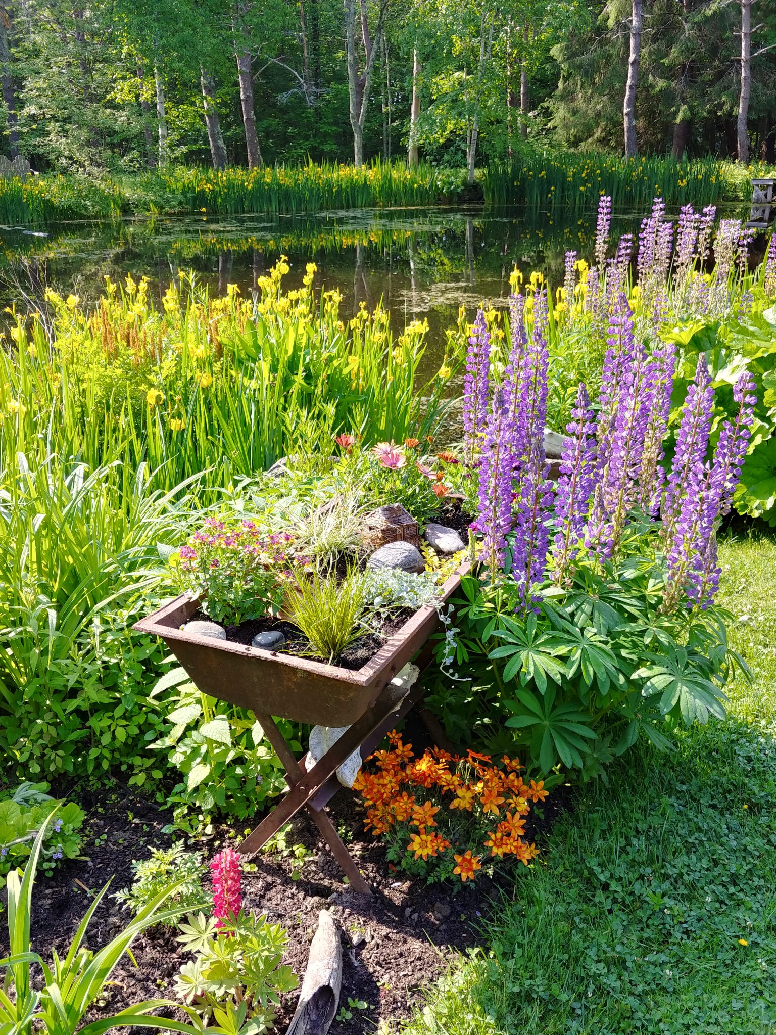 Open Garden #2 - Barbara Furey's Garden - Rockport and Merryspring Nature Center - Camden ...