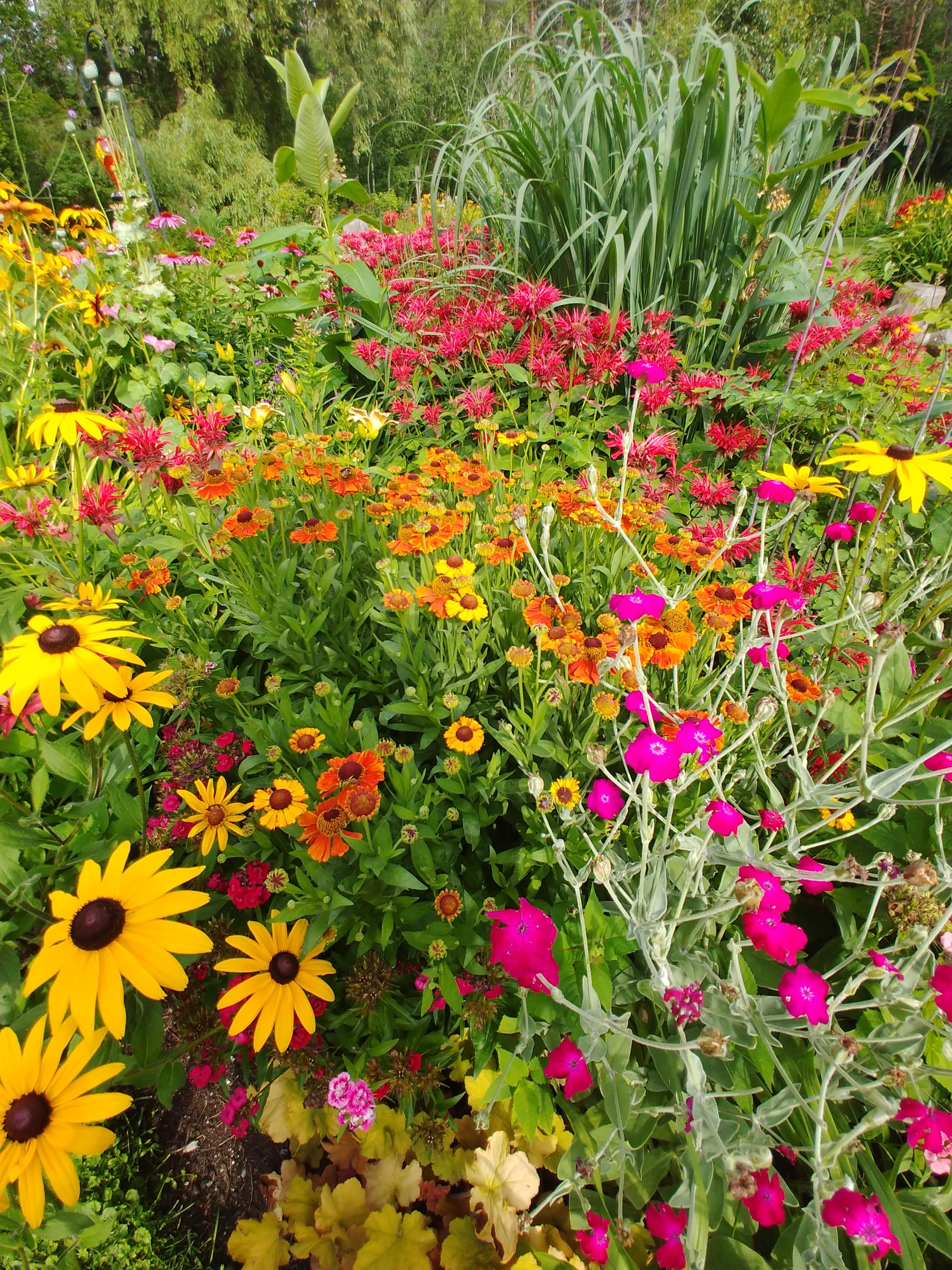Open Garden #2 - Barbara Furey's Garden - Rockport and Merryspring Nature Center - Camden ...
